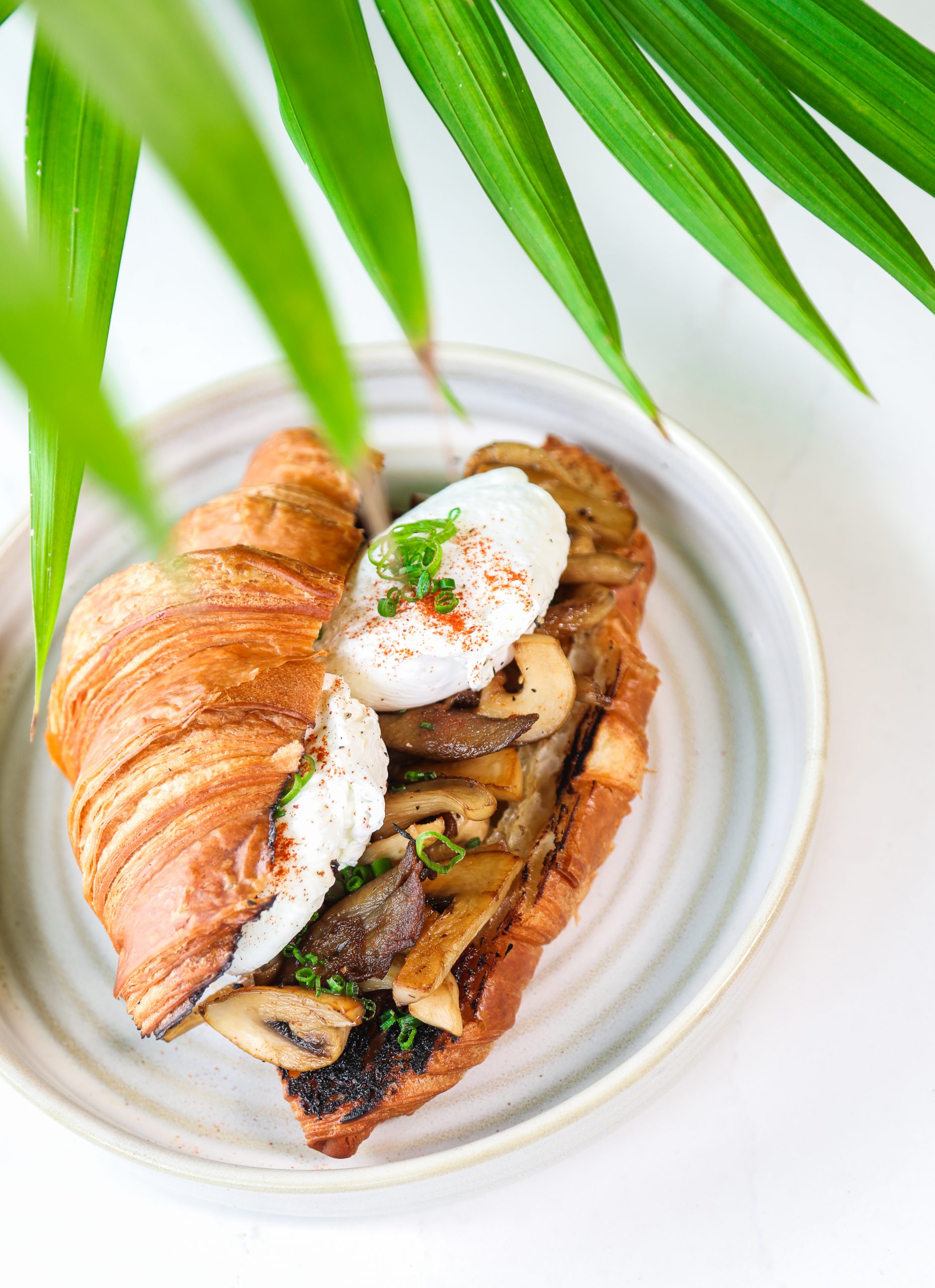 Gallery – Magic Monkey Restaurant