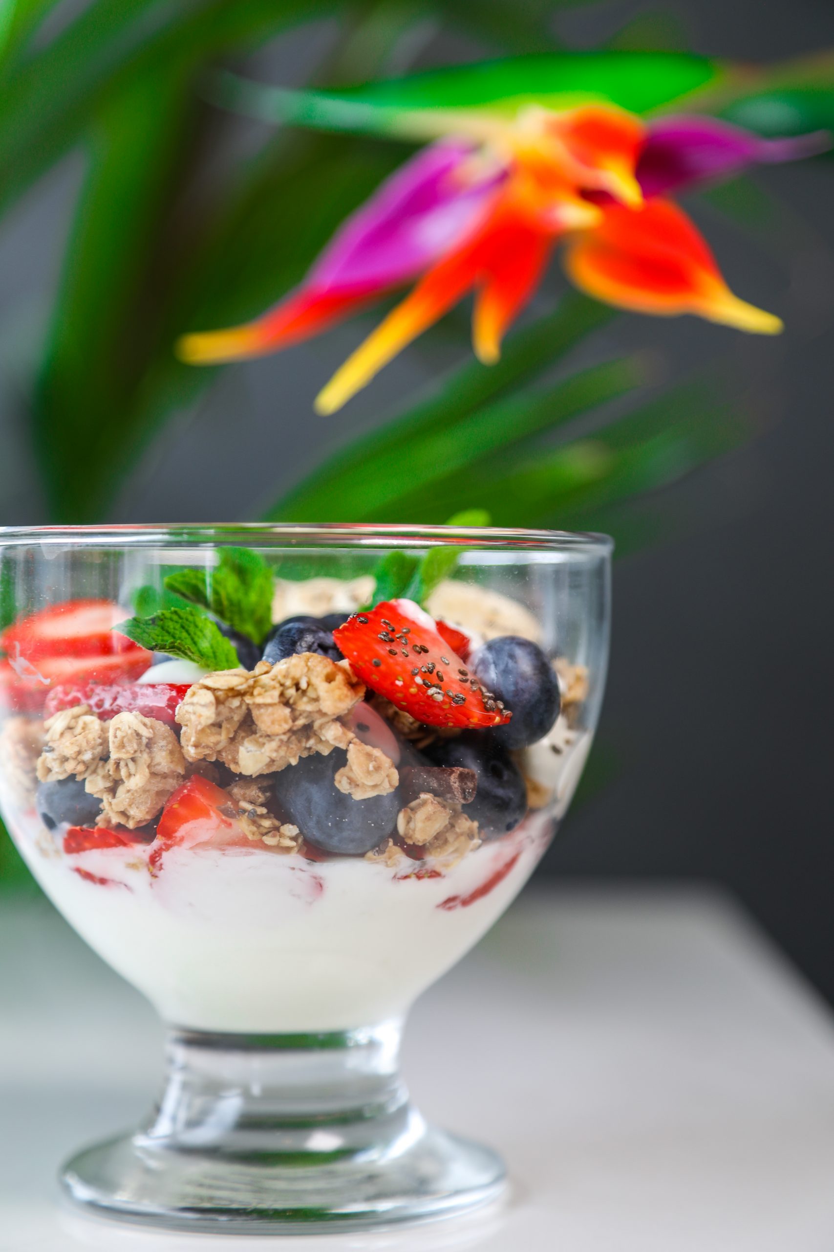 Gallery – Magic Monkey Restaurant