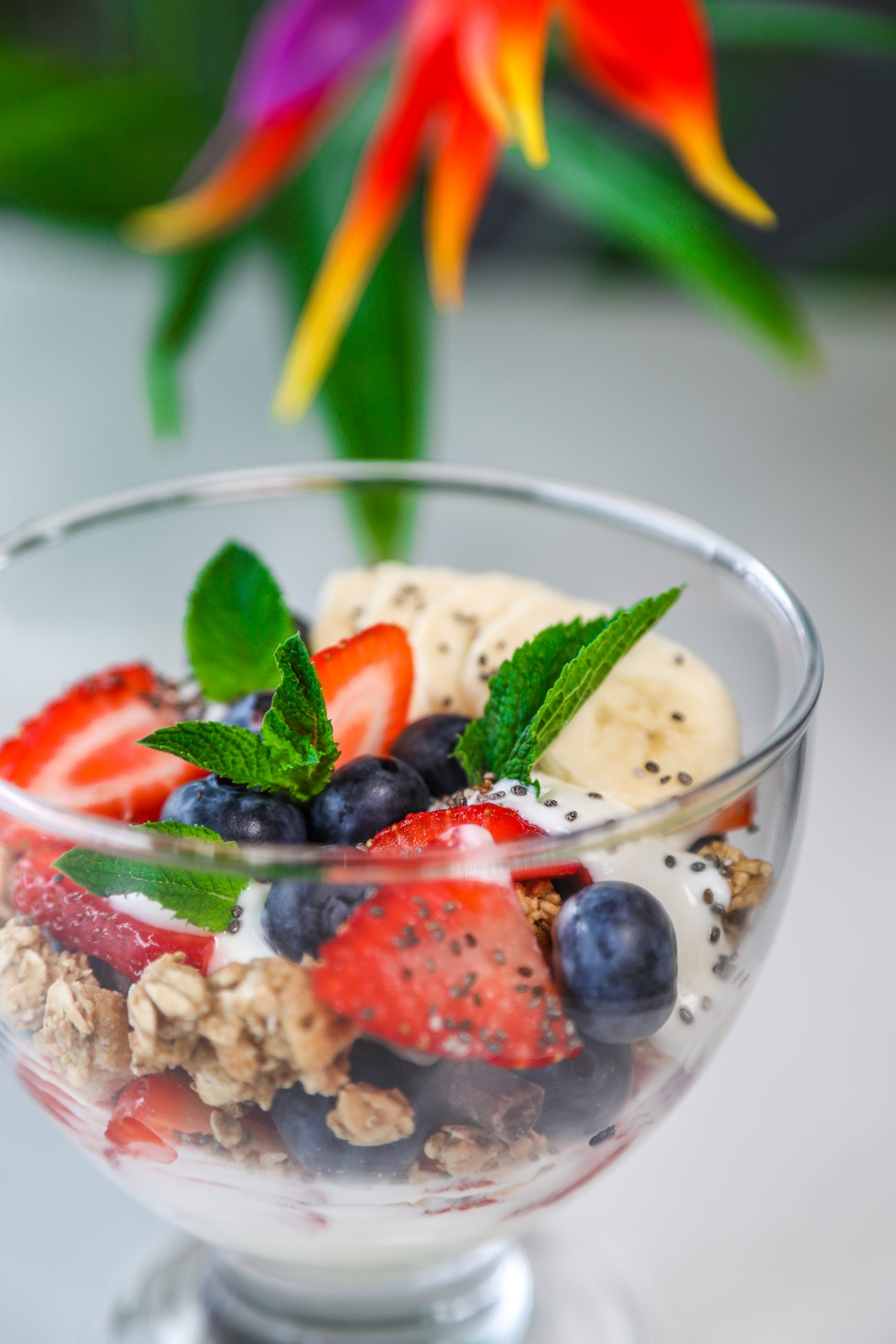 Gallery – Magic Monkey Restaurant